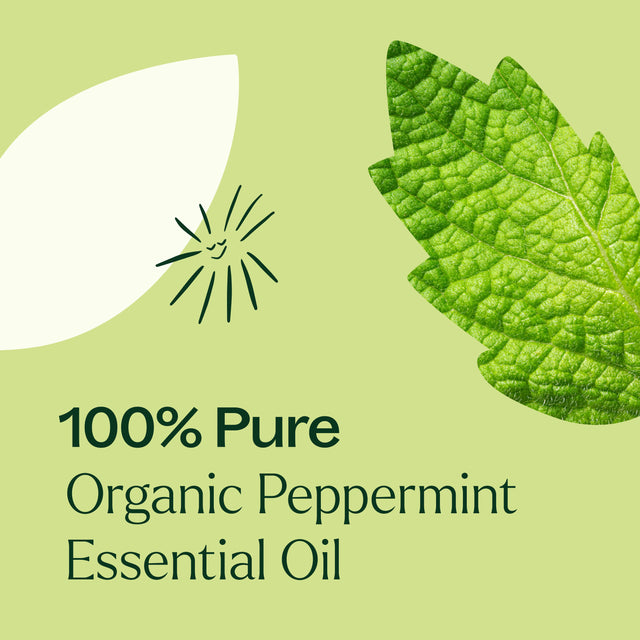 Organic Peppermint 5-Pack – AwearMarket