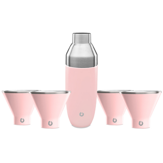 Stainless Steel Cocktail Shaker and Martini Glass Set, Pink – AwearMarket